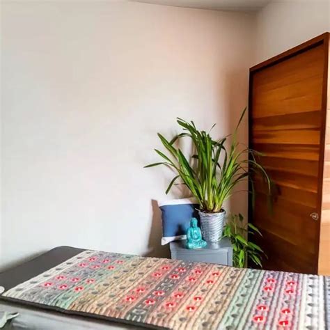 重振您的生命：揭开 Pemf 颈部和背部按摩器电动脉轮宝石按摩垫的变革力量 在快节奏的现代世界中，寻找放松和恢复活力的时刻至关重要。输入