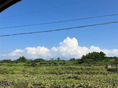 정보 구글 네이버 계정 로그인 시도 해킹 당할 뻔한 썰해킹 예방 방법 네이버 블로그