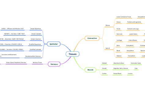 Tissues Mind Map