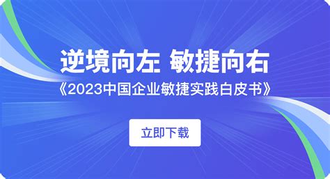 PingCode Blog