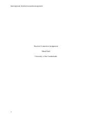 Practicle Connection Assignment Docx Running Head Practical