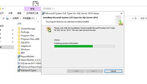 Ssrs Reportviewer Problem Even Though Its Dlls Are In The Bin Dir