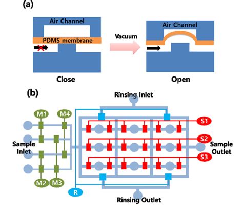 Figure 1 From Development Of Multi Sample Array System Based On
