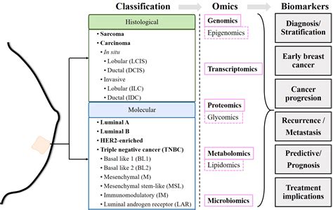 Frontiers Multiomics Insights On The Onset Progression And