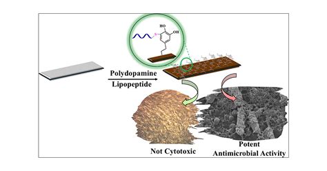 Polydopamine Mediated Antimicrobial Lipopeptide Surface Coating For