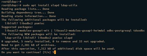 Cómo instalar el servidor OpenLDAP y el gestor de cuentas LDAP en