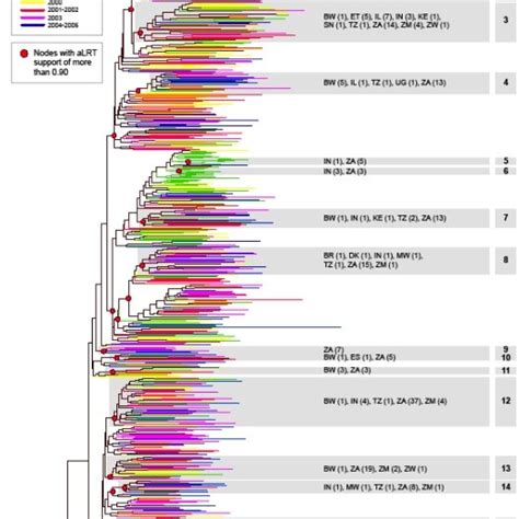 Phylogenetic Relationships Between Hiv 1 Subtype C Gag Sequences