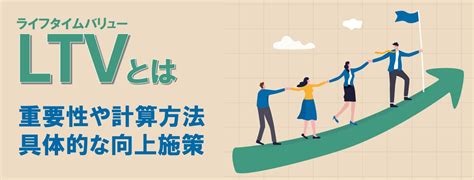 Ltvとは？ecでltvが重要な理由や算出方法、向上のための施策を紹介！ プロテーナム