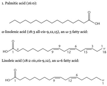 Lecture 17 Lipids 1 Flashcards Quizlet
