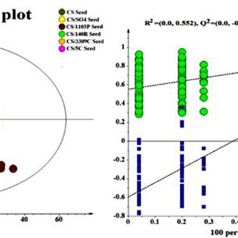 Partial Least Squares Discrimination Analysis Pls Da Score Plot And