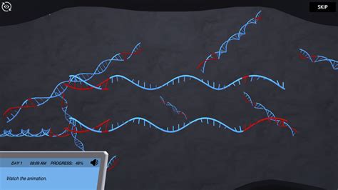 Gene Expression Unit Use Sequencing To Unveil A Gene Linked To Obesity