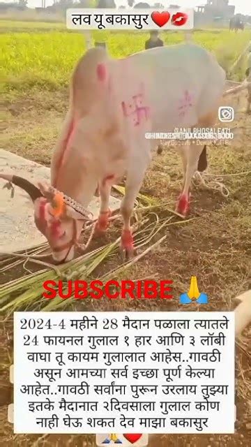 Shorts Bakasur Virelvideo Bailgadasharyat Maharashtra Foryou