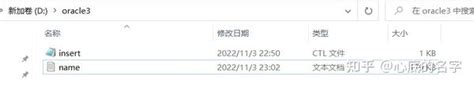 Csu Oracle大型数据库实验 Txt文件导入，ctl文件 知乎