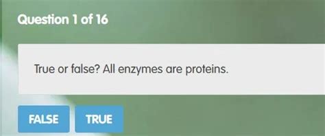 True Or False All Enzymes Are Proteins StudyX