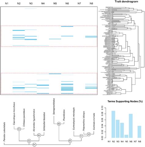 Clade Specific Bayesian Phylogenetic Information Components In The Fish Clade Specific Bayesian Phylogenetic Information Components In The Fish