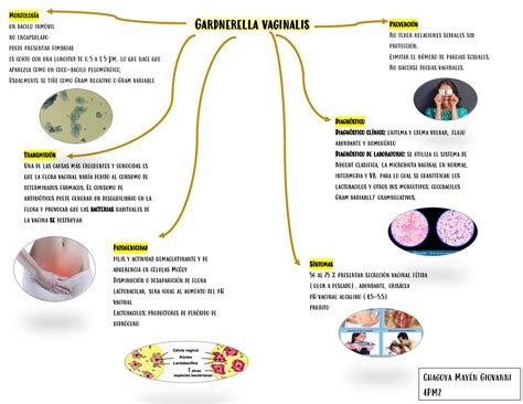 Gardnerella Vaginalis Warning Tt Undefined Function 32 Chagoya Mayén Giovanni 4pm