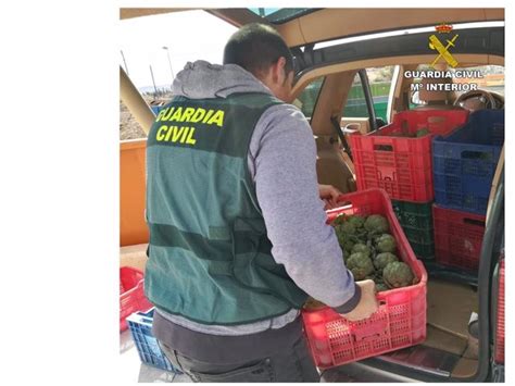 Dos Detenidos Y Tres Investigados Por Hurtar Más De 250 Kilos De