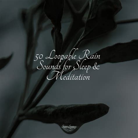 50 Loopable Rain Sounds For Sleep And Meditation Album By The Relaxing