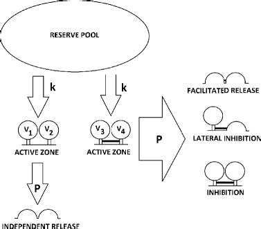 Illustration Of A STD Scenario Presenting Nonextensive And Extensive Download Scientific