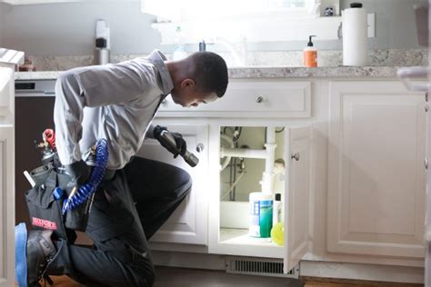 Top Ways To Identify A Cockroach Infestation In Your Home