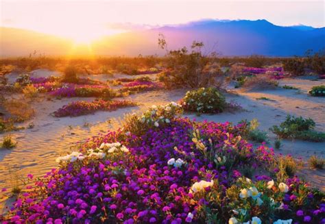 Suzanne Kovi On Linkedin When We Focus On Up Leveling Our Career Or Goals In Life Clear Out Old…