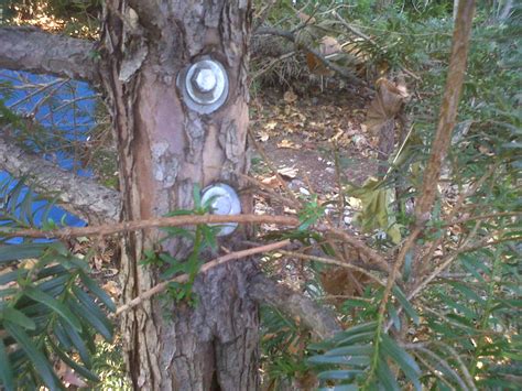 How To Patch A Tree Hole Download Free Software Piratebayeuro