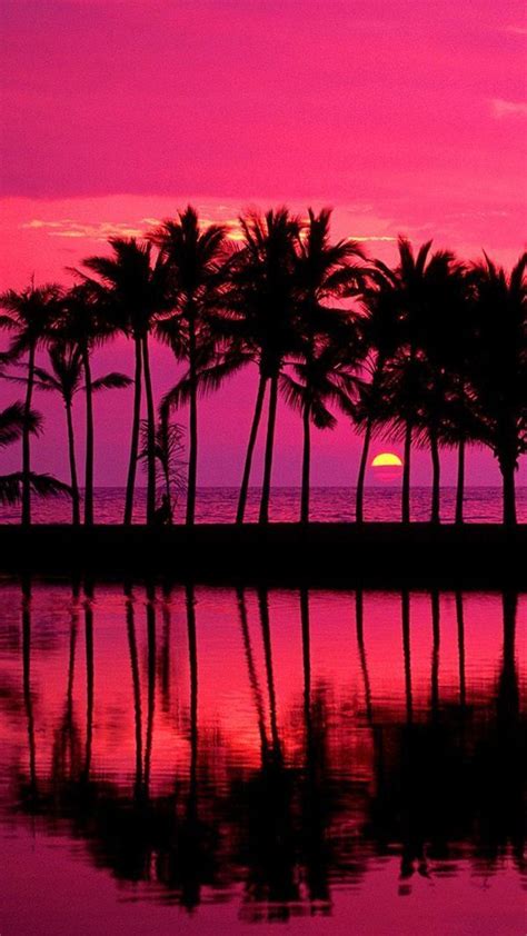 Pink Sunset Palm Trees