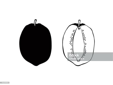 고립 된 흑백 흑백 그림 유치 한 손으로 그린 라인 아트 키 위 전체 과일과 반 잘라 과일 패턴 배경 벽지 커버 텍스처 등 벡터 디자인 건강한 생활방식에 대한 스톡 벡터