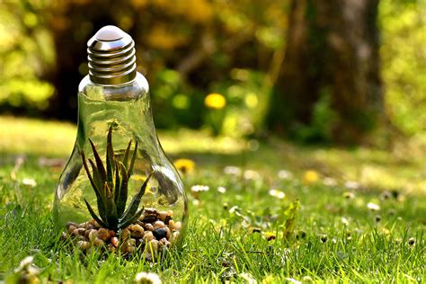 Obnovljivi Izvori Energije Energija Biomase GRENEF