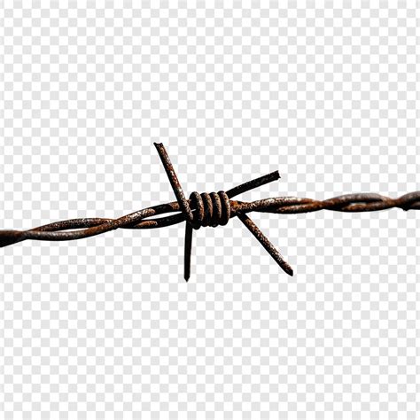 Fil De Fer Barbelé Avec Un Fil De Barbelé Sur Lui Et Un Fond Blanc