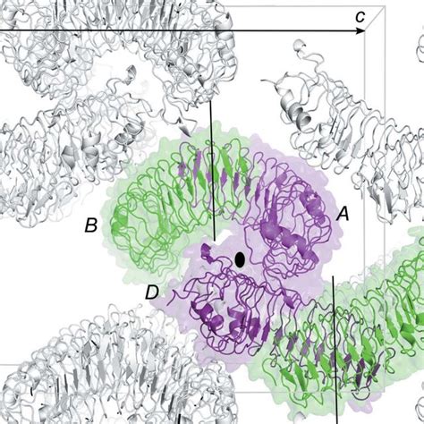 Structure Of The Integrin Binding Site A Position And Conformation