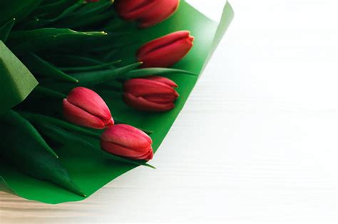 흰색 나무 배경 평면도에 녹색 종이에 아름 다운 세련 된 튤립 꽃다발 텍스트에 대 한 공간을 가진 흰색 나무에 분홍색 튤립 인사말 카드 템플릿입니다 행복 한 어머니의 날