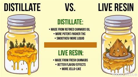 Live Resin Vs Distillate Which Carts To Choose 2023