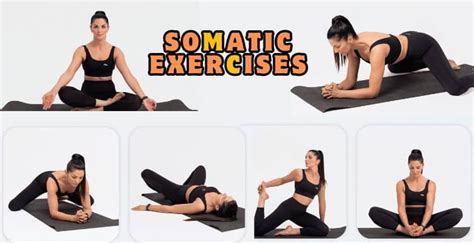Somatic Exercises For Anxiety Relieve Stress And Tension Through Movement