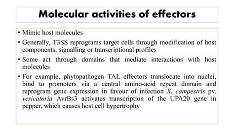 Type Iii Bacterial Secretion System Ppt