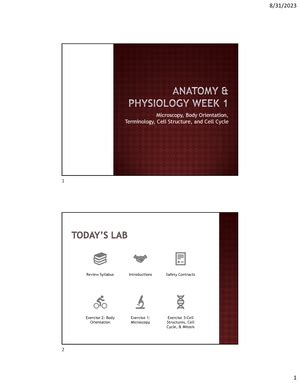 Lab Practical Exam Study Guide Study Guide For Practical Practicals Are Major Exams Using