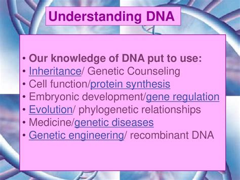 Dna Structure And Function Ppt Download