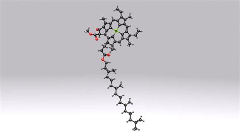 3d Chlorophyll Structure