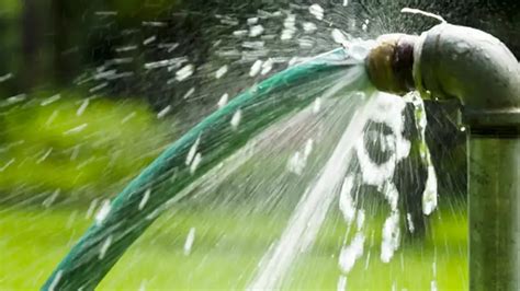 Why Does My Garden Hose Leak Common Causes And How To Fix Them