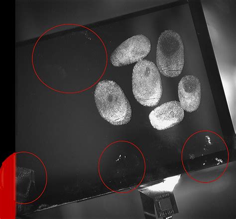 Trace Dna Recovery Non Contact Forensic Solutions By Smytec