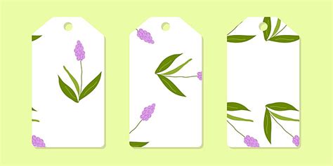 Layout Template Of Colored Labels For Clothes Label Banner Layout
