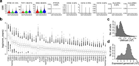 Overview Of WJMSCs Single Cell RNA Seq Data A Expression Of Marker