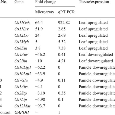 Comparison Of Microarray Expression With Qrt Pcr Expression Download