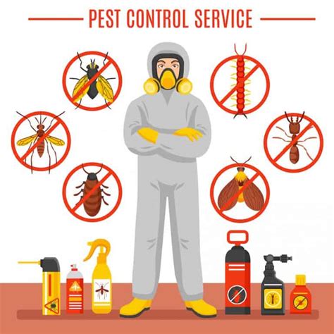 How To Find The Best Pest Control Companies In Sheffield
