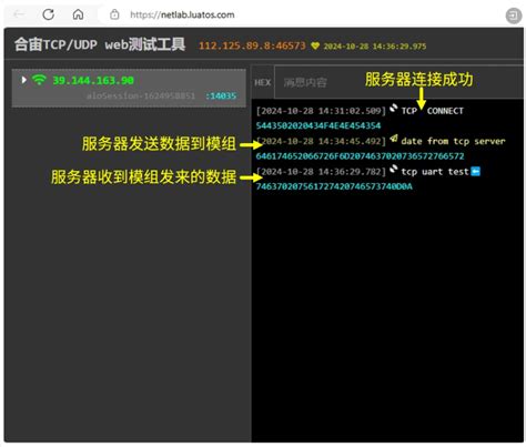Web端TCP UDP测试工具值得收藏 面包板社区