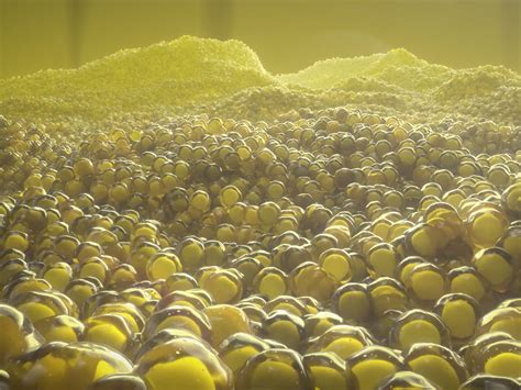 CGI Based Caspy Caviar Hero Video Awwwards