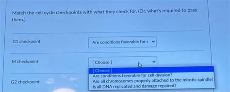 solved match the cell cycle checkpoints with what they check