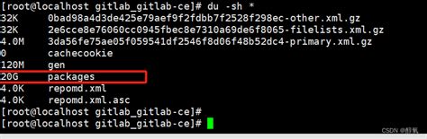 【git】500 Whoops Something Went Wrong On Our End Csdn博客