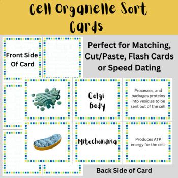 Cell Organelle Sort Card Activity For Matching Flashcards Speed Dating