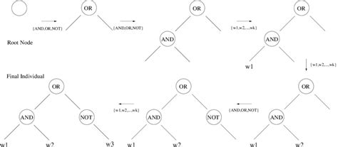 random initialisation of an individual download scientific diagram